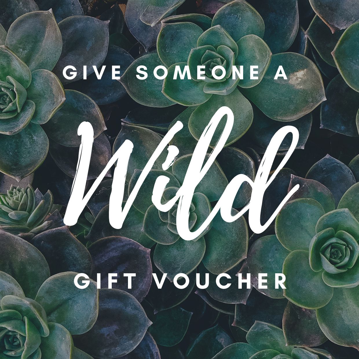 Wild Voucher | Wild Events